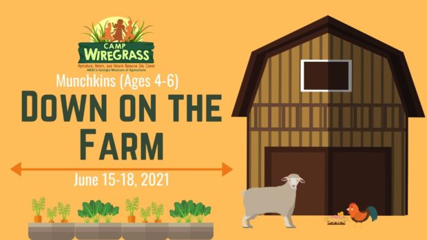 Camp Wiregrass - Georgia Museum of Agriculture Georgia Museum of ...