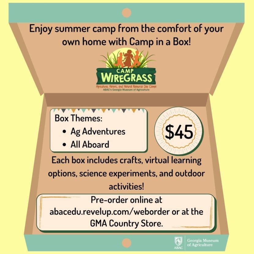 Camp Wiregrass - Georgia Museum of Agriculture Georgia Museum of ...