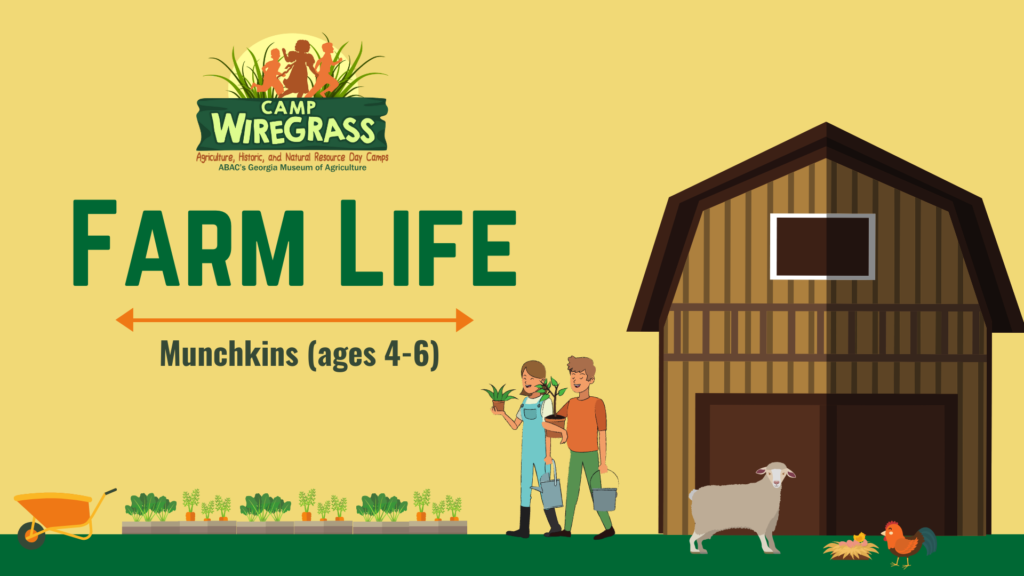 Camp Wiregrass - Georgia Museum of Agriculture Georgia Museum of ...