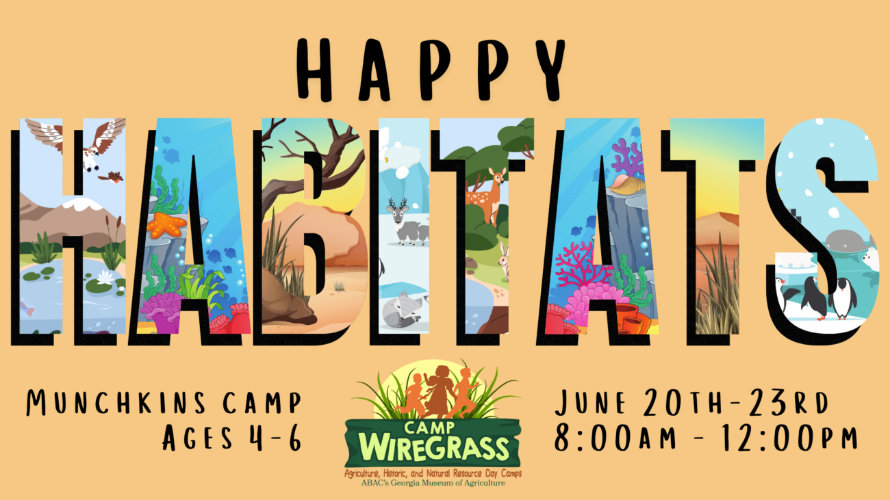 Camp Wiregrass - Georgia Museum of Agriculture Georgia Museum of ...